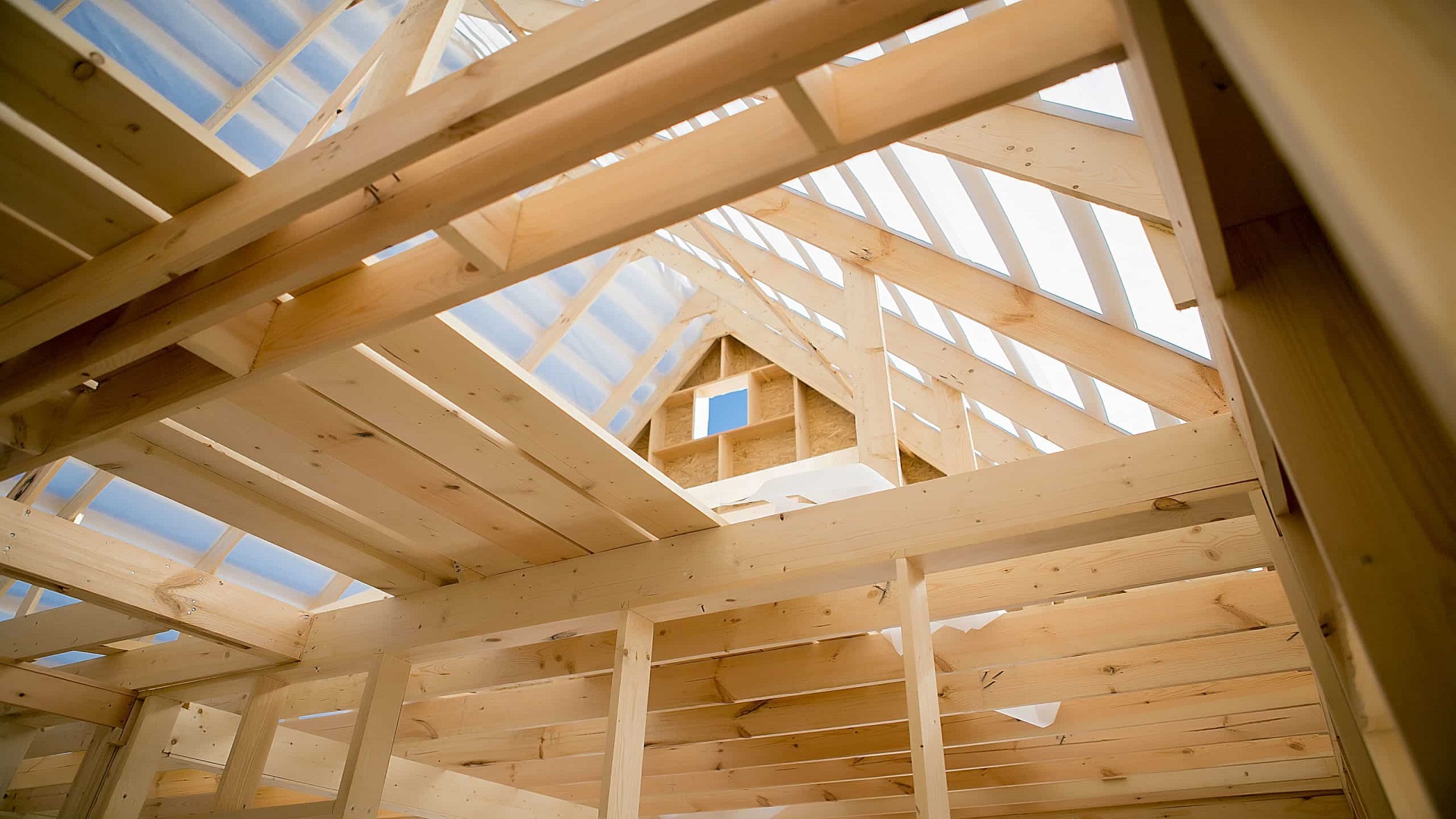 El uso de la madera en la construcción sustentable del futuro - IMPULSO